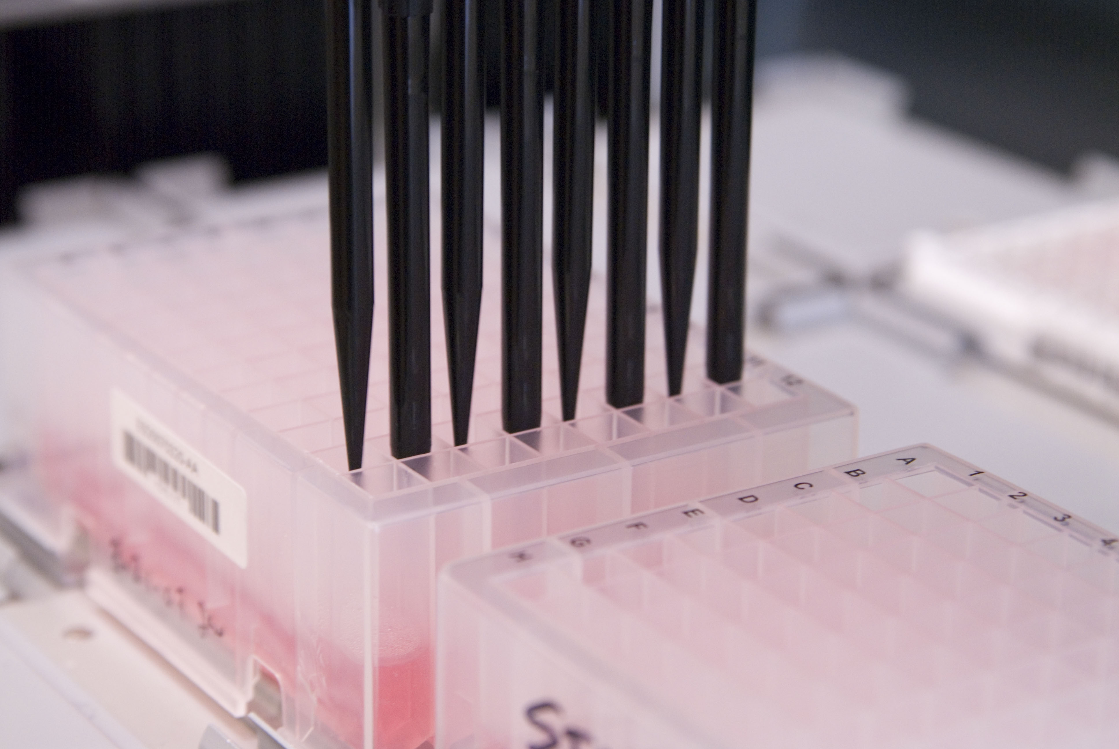 Topical Delivery of Sex Steroid Hormones and Distribution in Different ... Topical Delivery of Sex Steroid Hormones and Distribution in Different ...