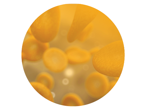 ZRT Laboratory | Innovative Lab Testing Made Simple